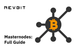 Potential of Masternode: A Beginners Guide | revbit.net