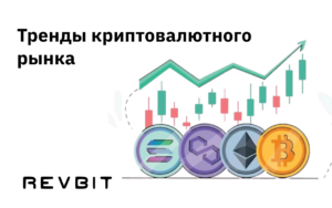 Криптовалютный рынок: Обзор тенденций в 2025 году | revbit.net