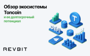 Экосистема TON: обзор | revbit.net