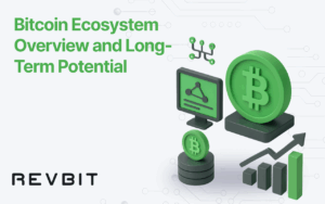Bitcoin Ecosystem Overview and Long-Term Potential